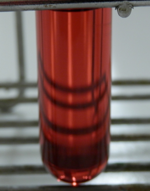 Diiode: propriétés chimiques et physiques