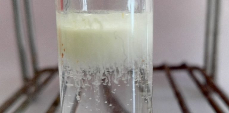 Test d'identification des ions bromure - Physique chimie