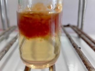Test d'identification des ions fer II - physique et chimie
