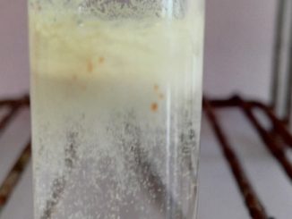 La précipitation - Physique-Chimie