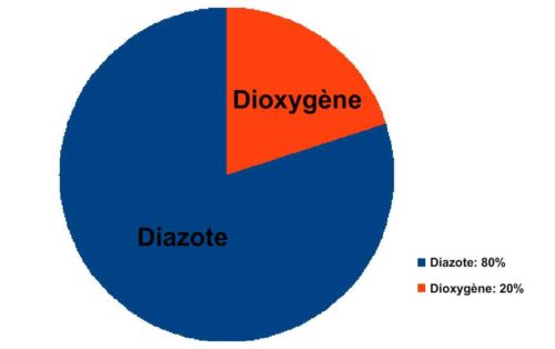 Composition de l'air | Physique-chimie