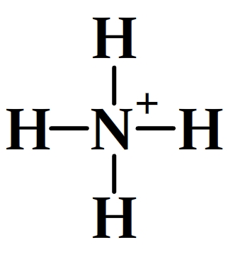Molécules polaires et apolaires | Cours de chimie de première spécialité