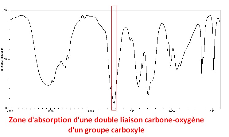 Structure et nomenclature des molécules organiques | Cours de chimie