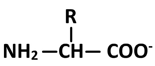 Comparer la force des acides et des bases - PHYSIQUE ET CHIMIE