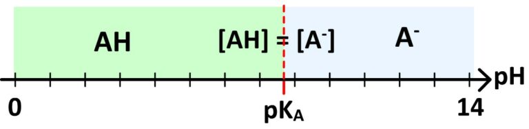 Comparer la force des acides et des bases - PHYSIQUE ET CHIMIE